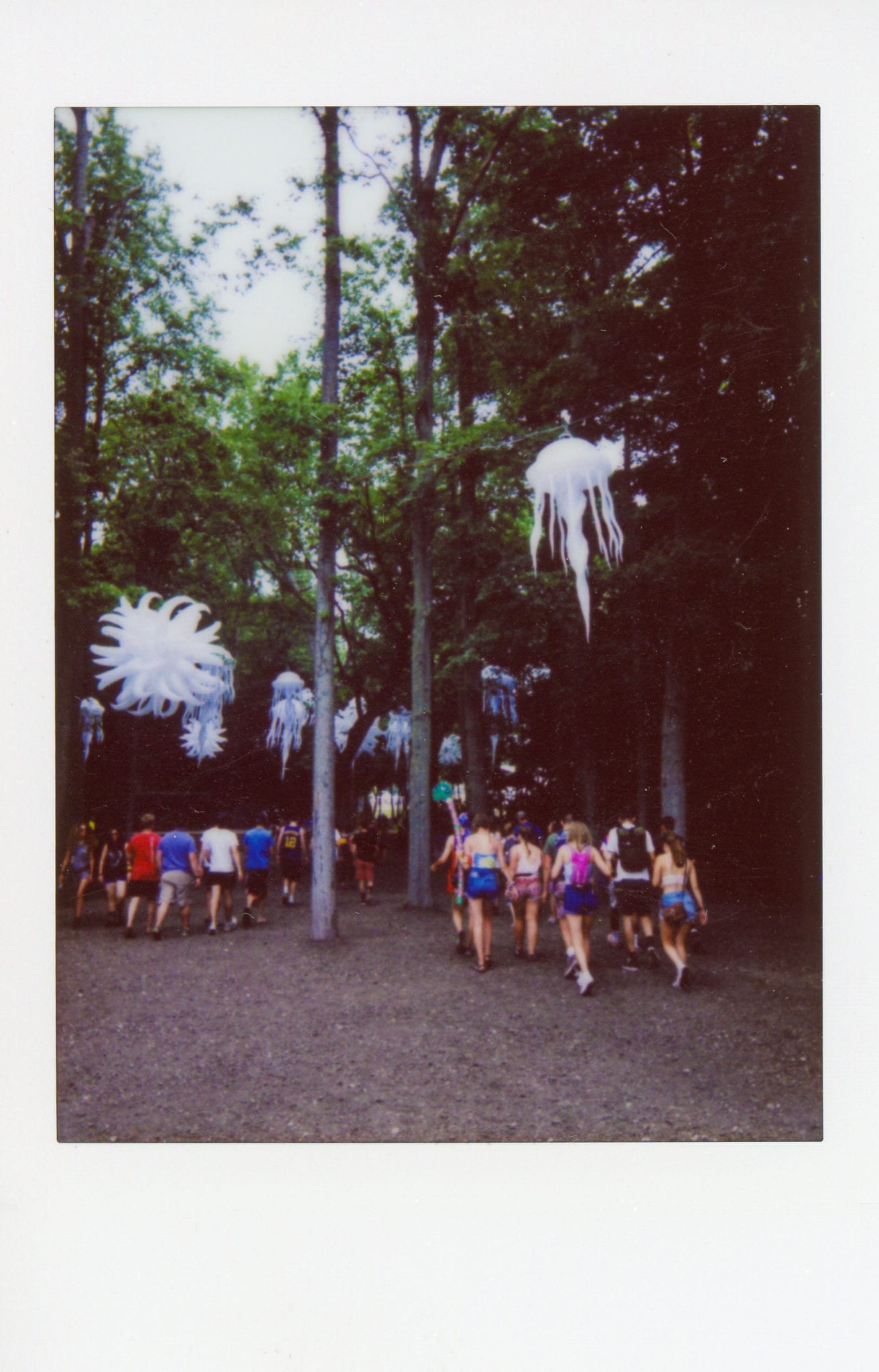 Firefly Music Festival Brings Four Days of Music, Art and Heat to ...