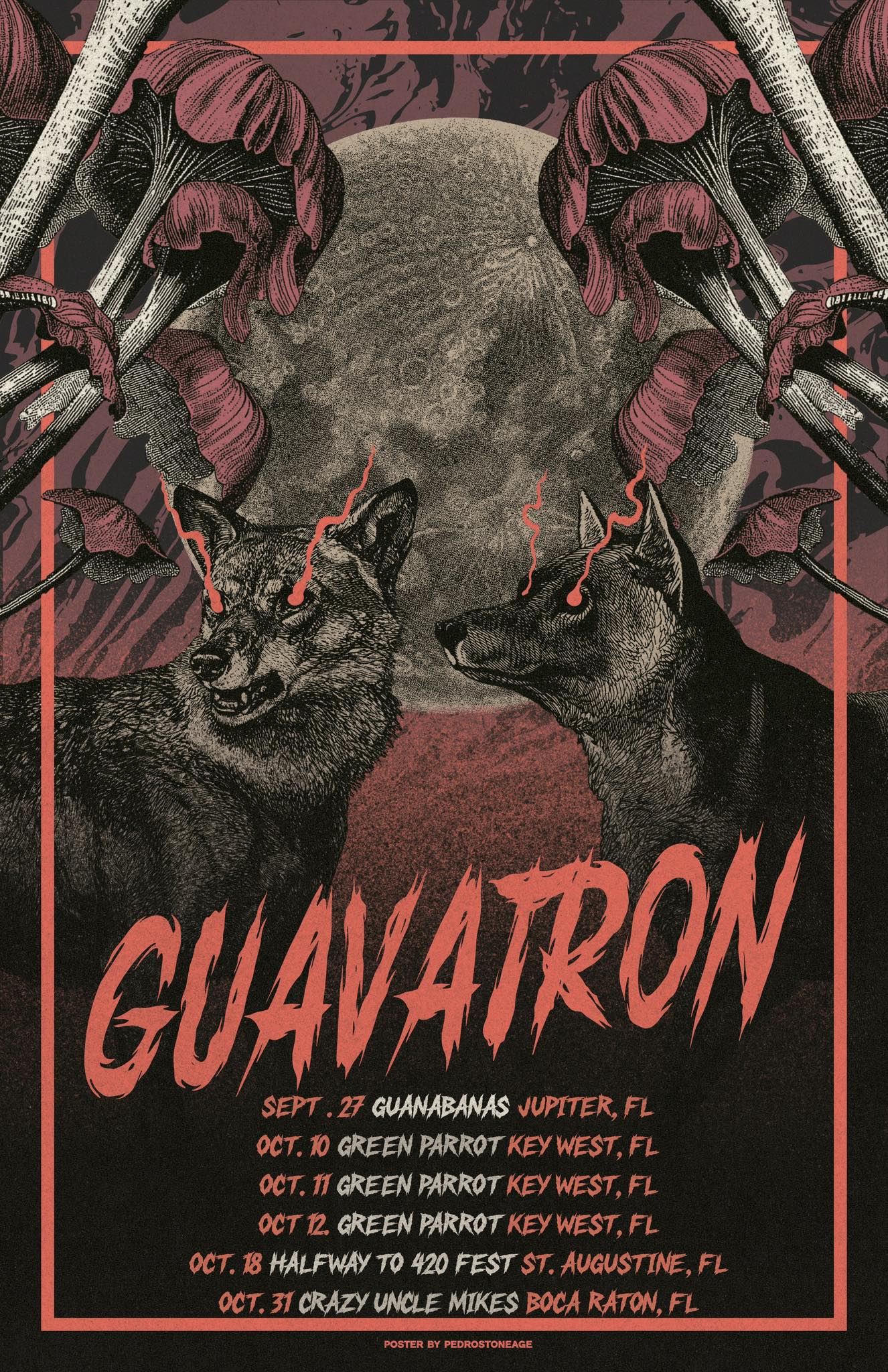 Jamtronic Masters Guavatron On the Loose! • MUSICFESTNEWS